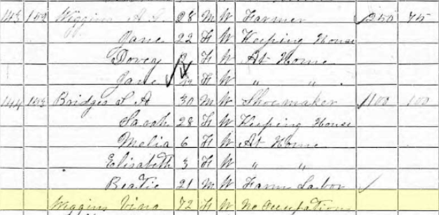 LAVINA FOWLER 1803-1877, Daughter of John Fowler “The Elder” – THE ...